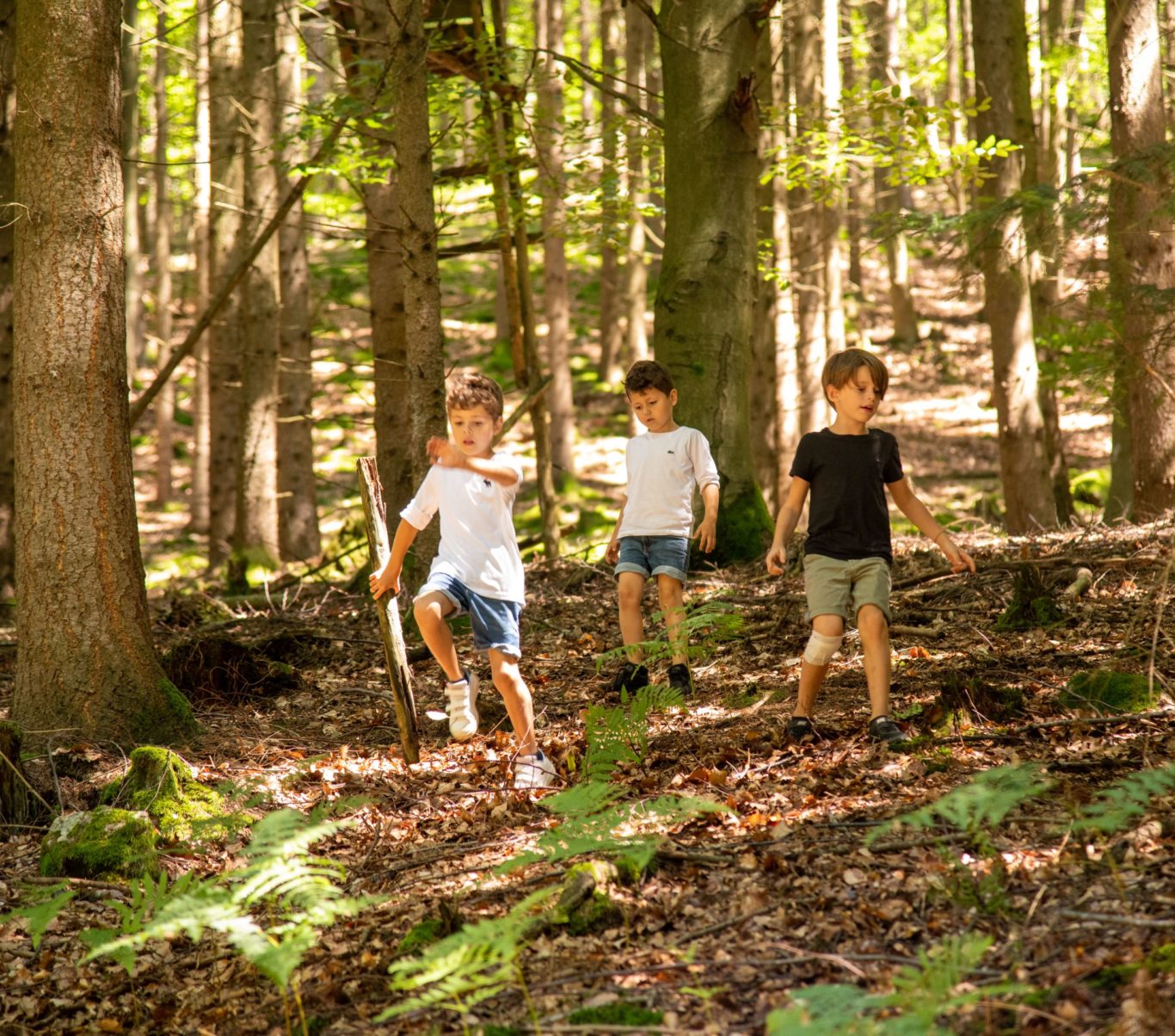 Edelwies Natur-und Freizeitpark